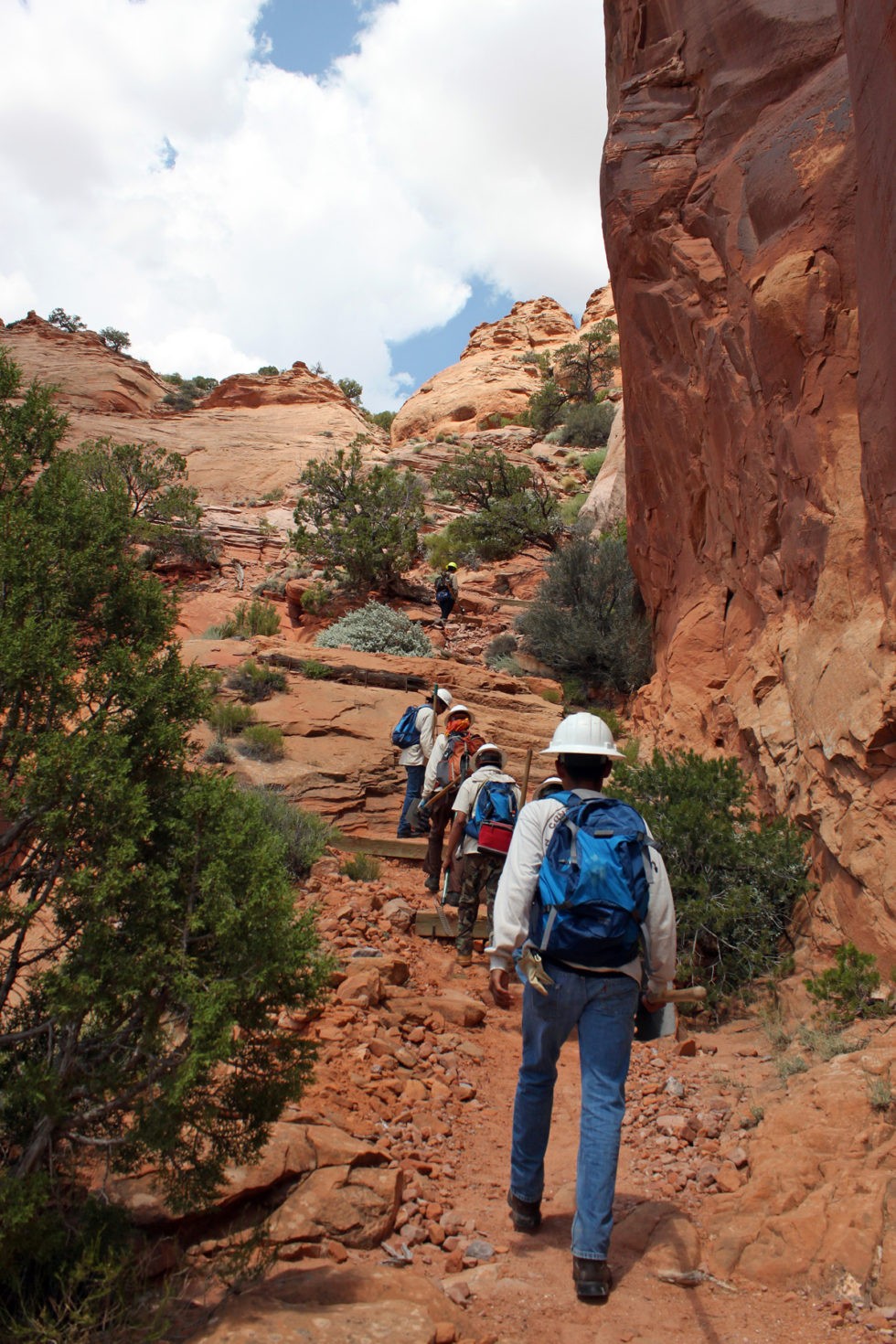 The Youth Conservation Corps - American Conservation Experience