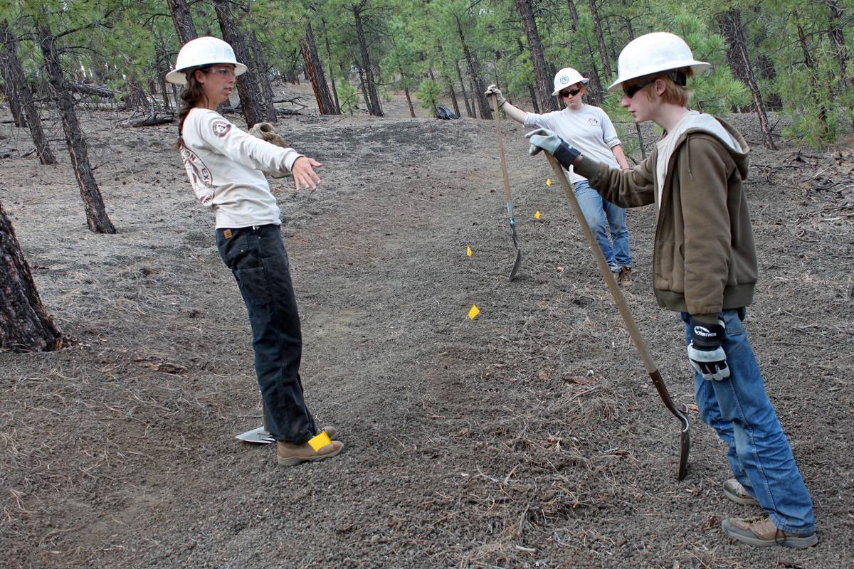 The Youth Conservation Corps - American Conservation Experience