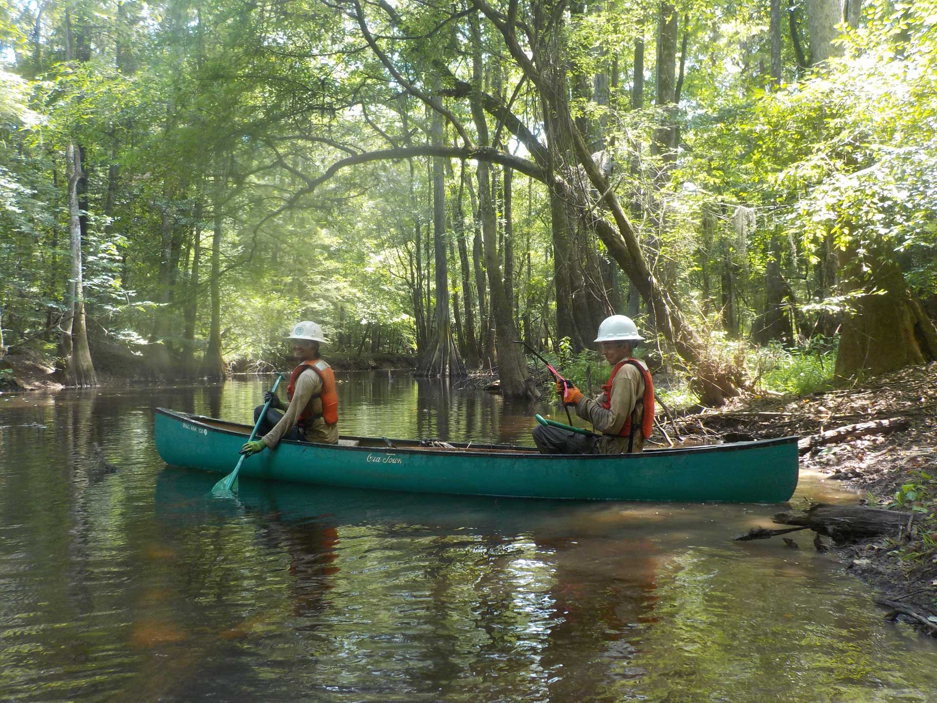 Canoe Trail Restoration, Congaree National Park - American Conservation ...