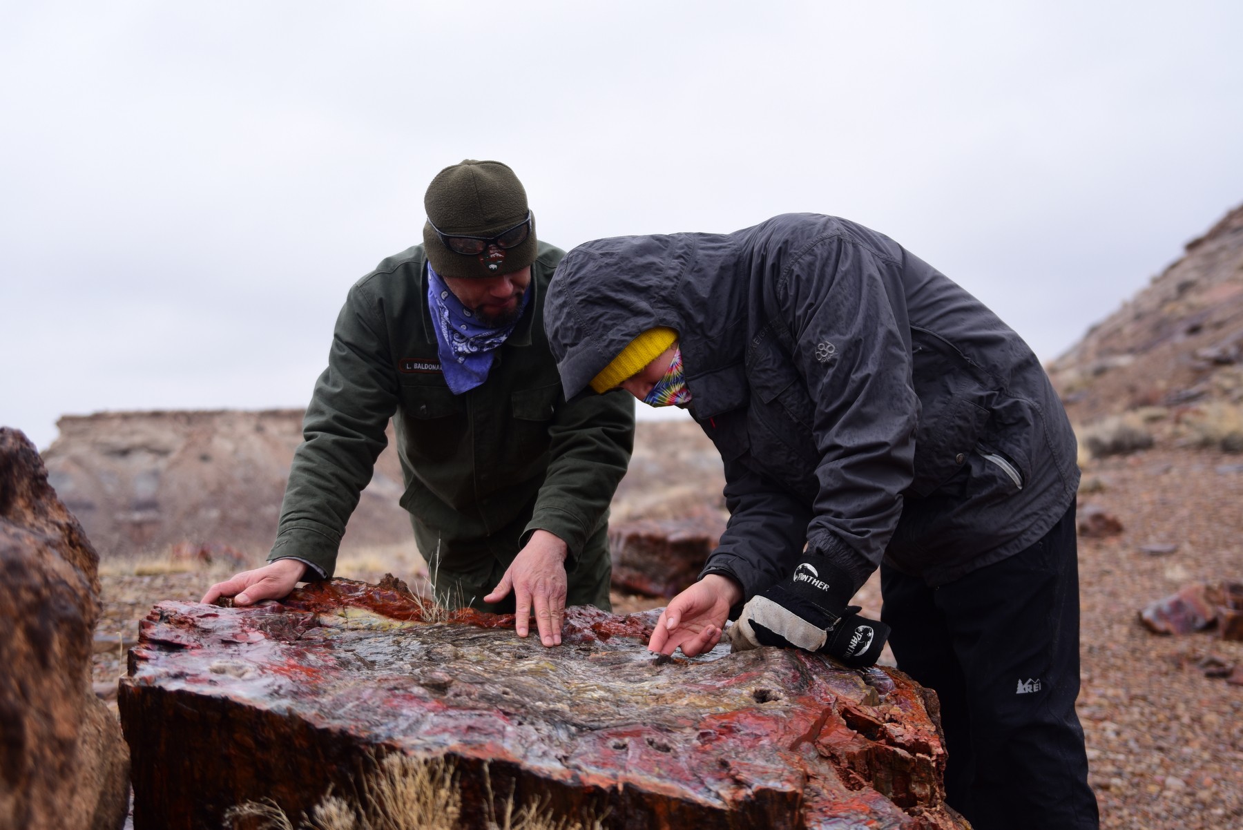 Petrified Forest National Park - Arizona - American Conservation Experience