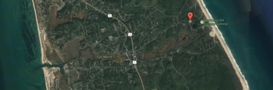 First Encounter with the Pamet Cranberry Bog - American Conservation ...