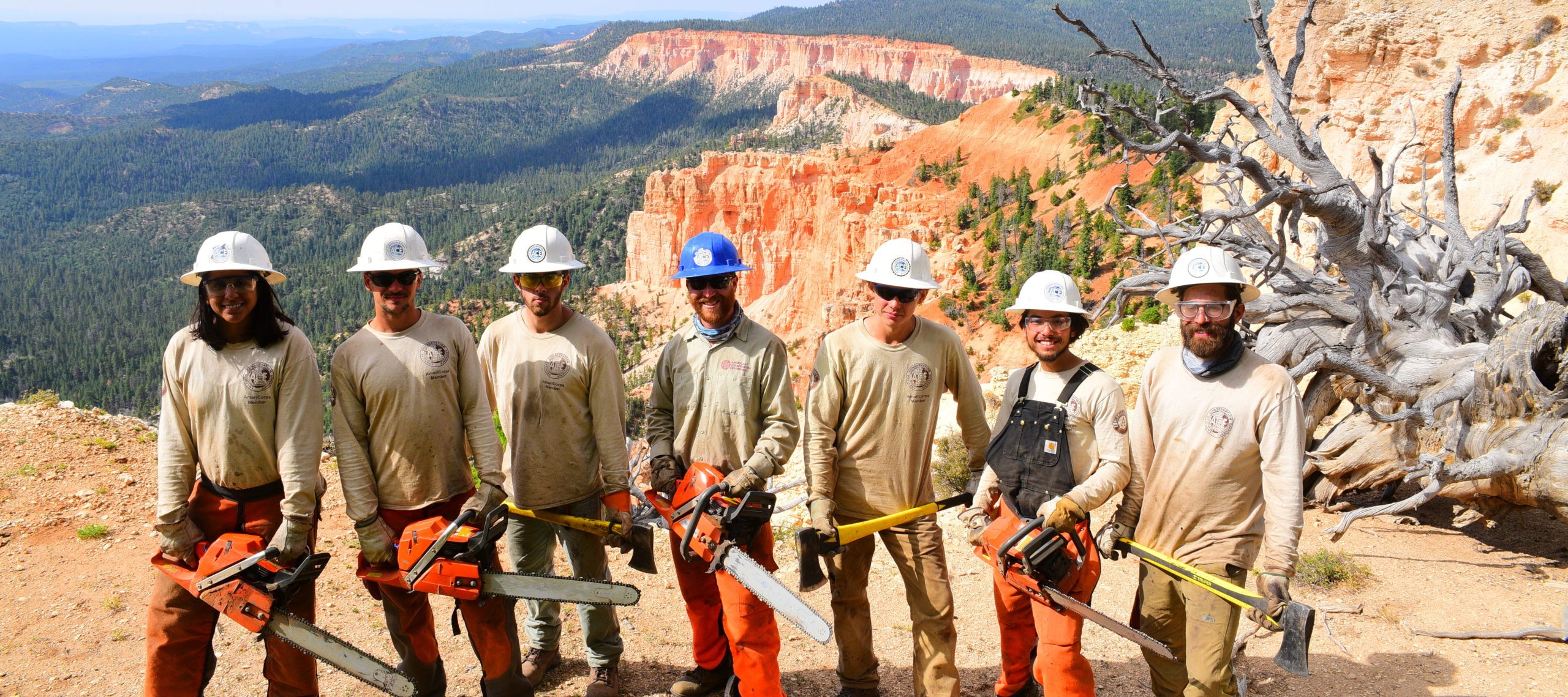 Bryce Canyon | Forest Thinning - American Conservation Experience