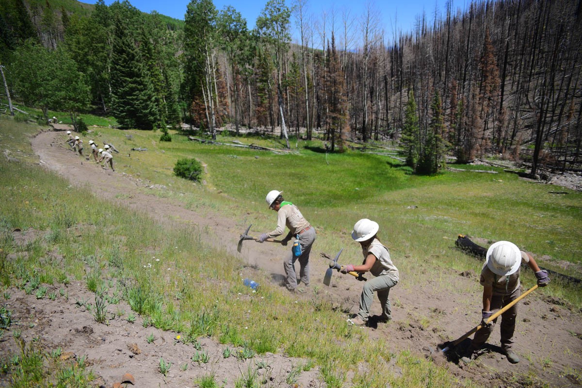 Dixie National Forest | Bunker Creek Trail - American Conservation ...