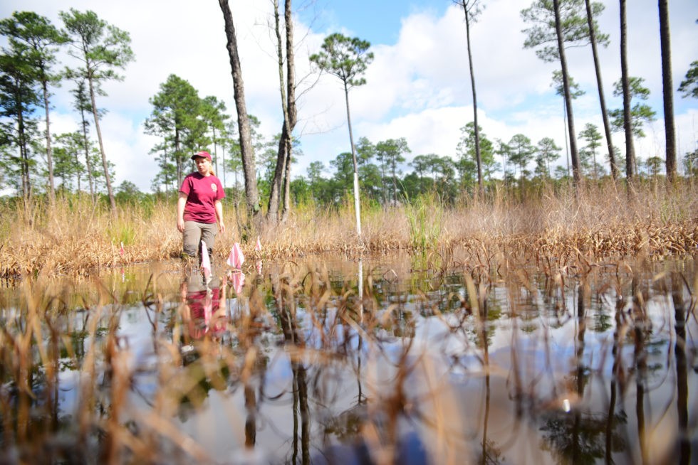 ACE EPIC Experience | USFWS - American Conservation Experience
