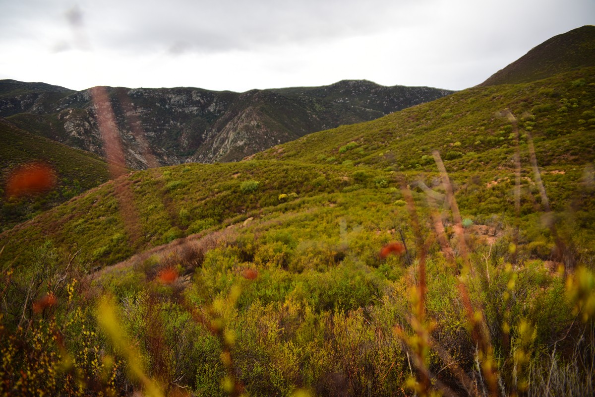 Three Sisters Trail | US Forest Service - American Conservation Experience