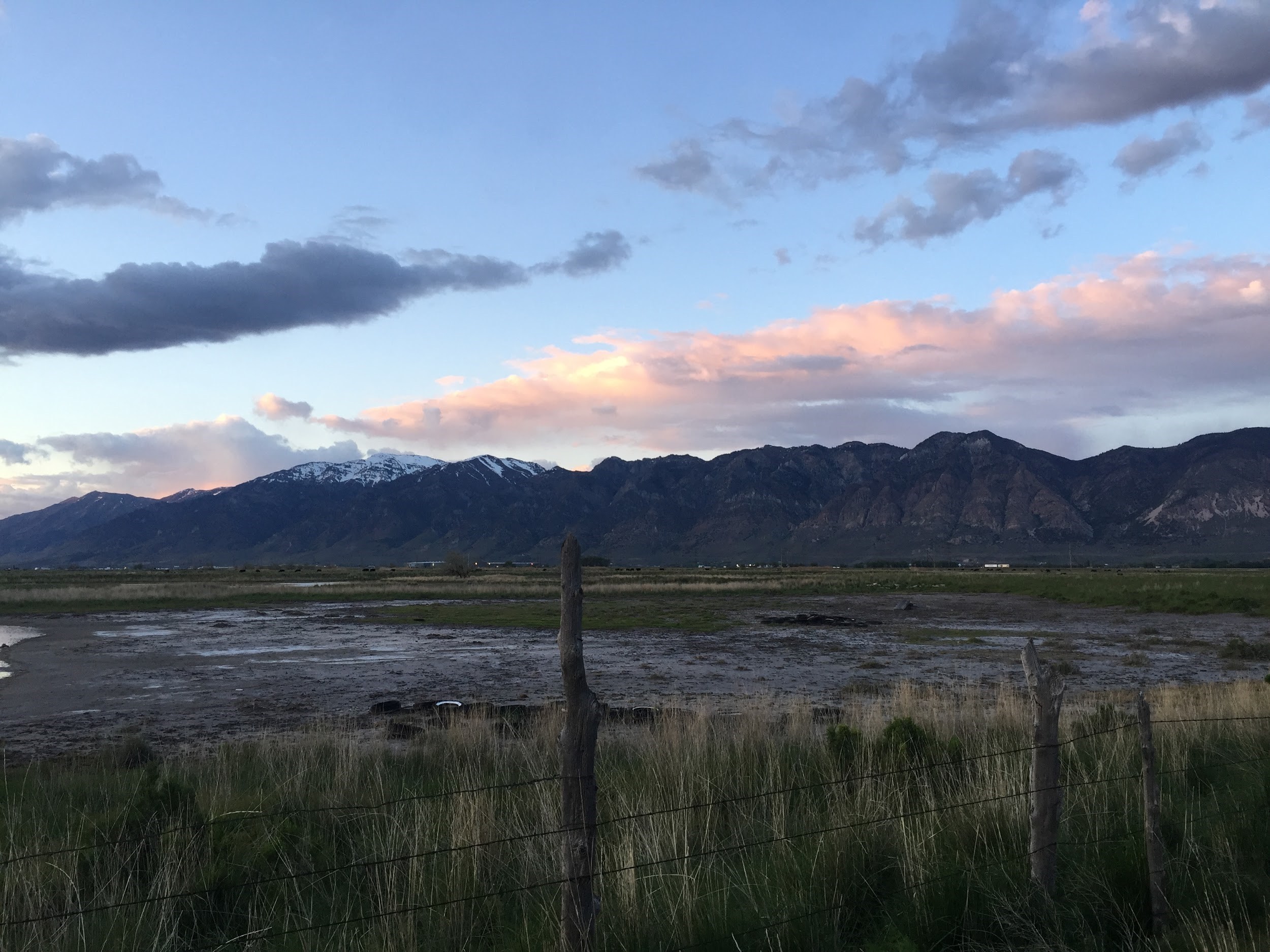 The Wild, Wild West - American Conservation Experience