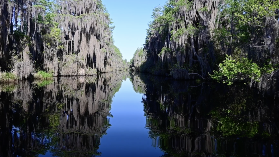 Video: Discover Okefenokee National Wildlife Refuge - ACE