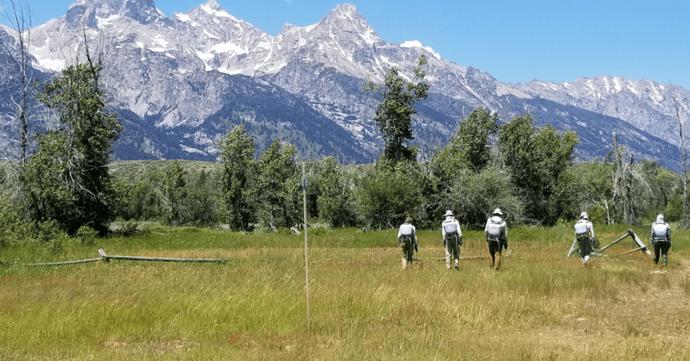 Top Reasons to Choose a Conservation Career - American Conservation ...