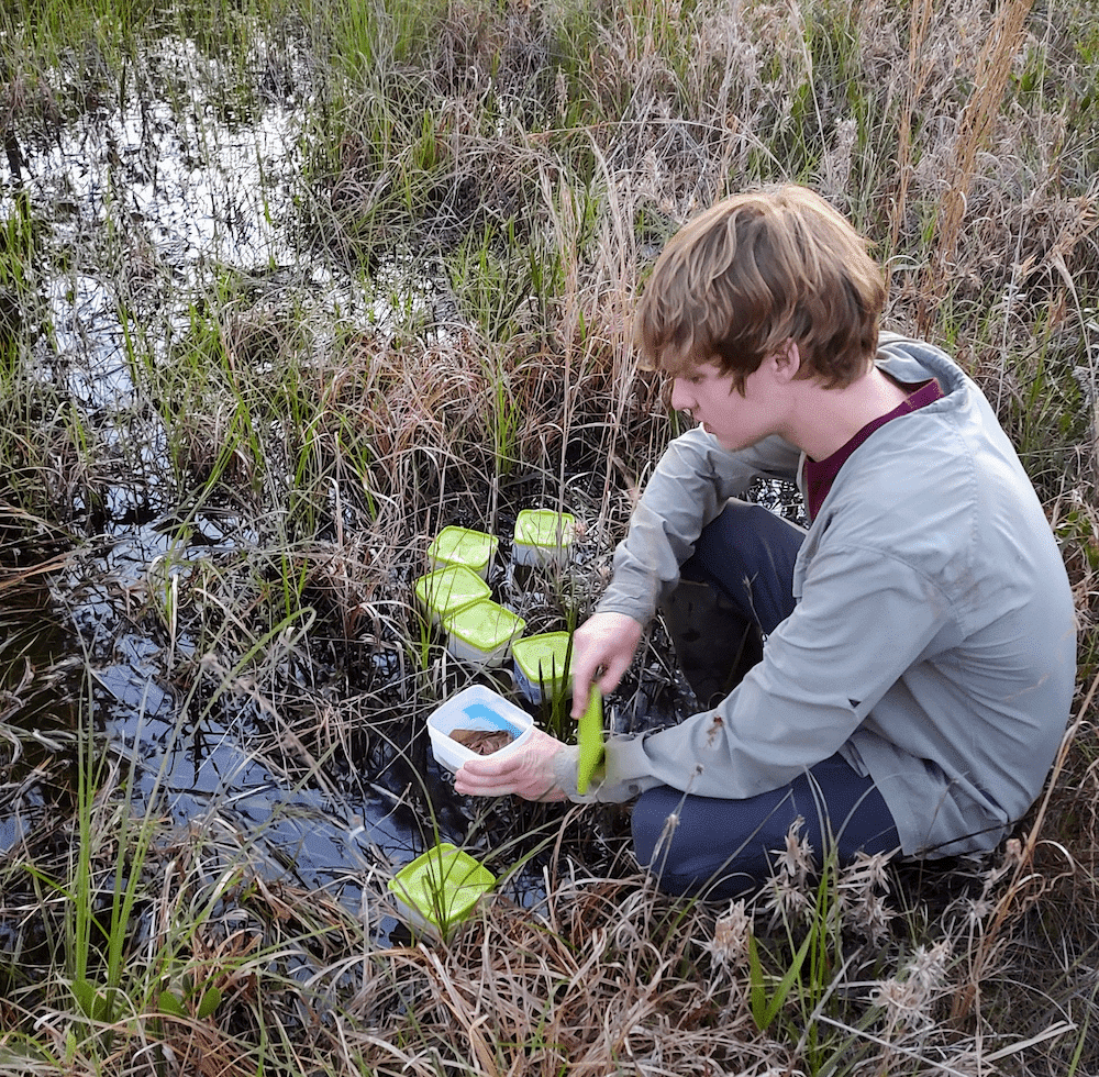 American Conservation Experience (ACE) - Environmental Service Corps